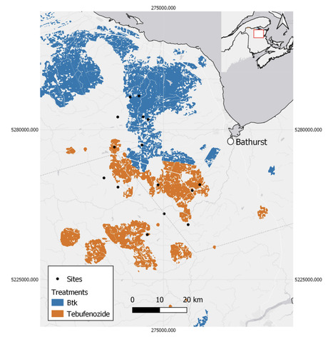 Original Paper in Can Entomol • Fournier L...