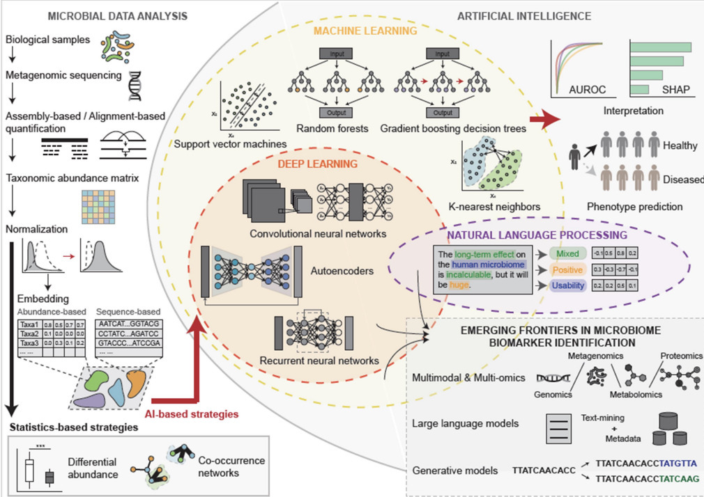 Exploring the frontier of microbiome biomarker ...