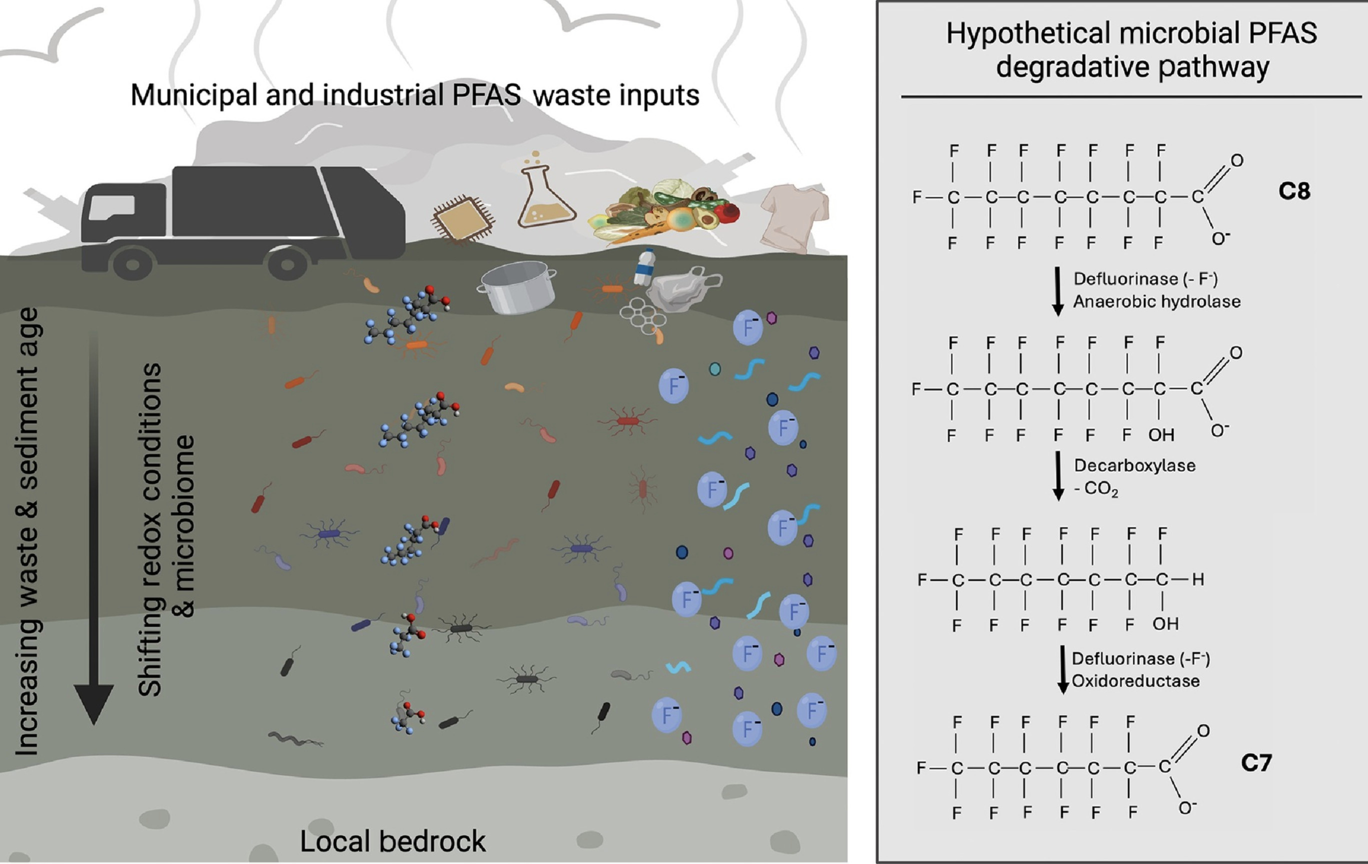 Digging deep: microbial PFAS-degradation in lan...