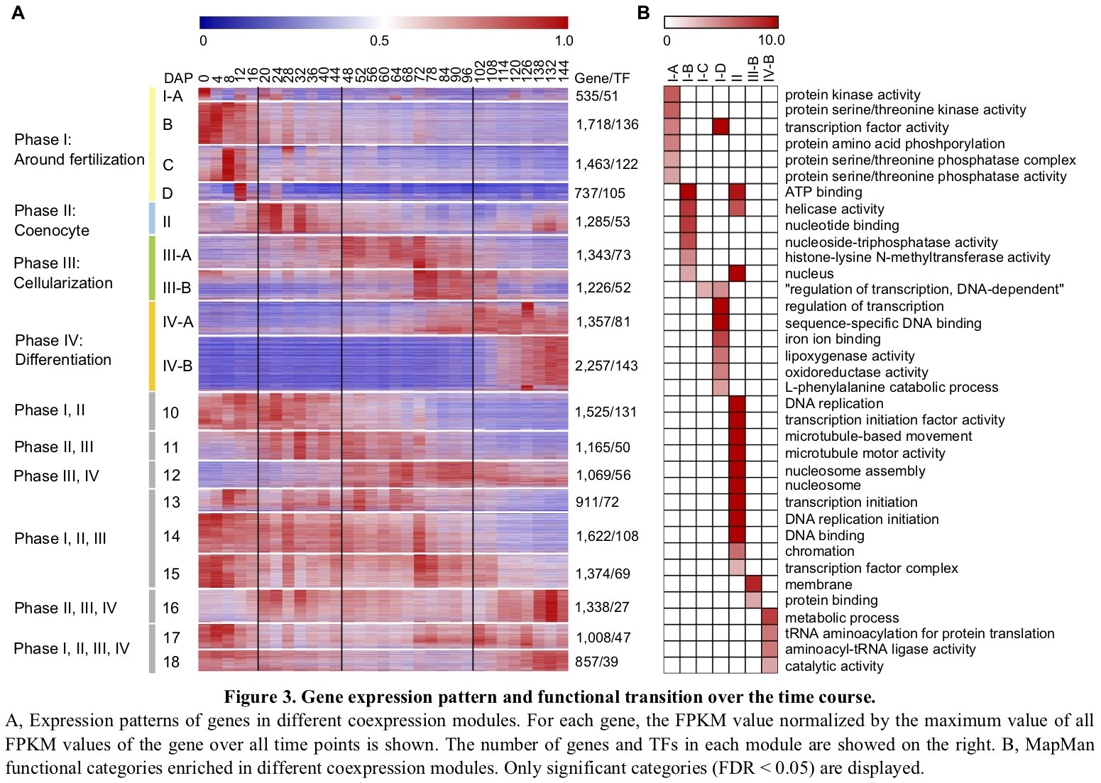 High-temporal-resolution Transcriptome Landscap...