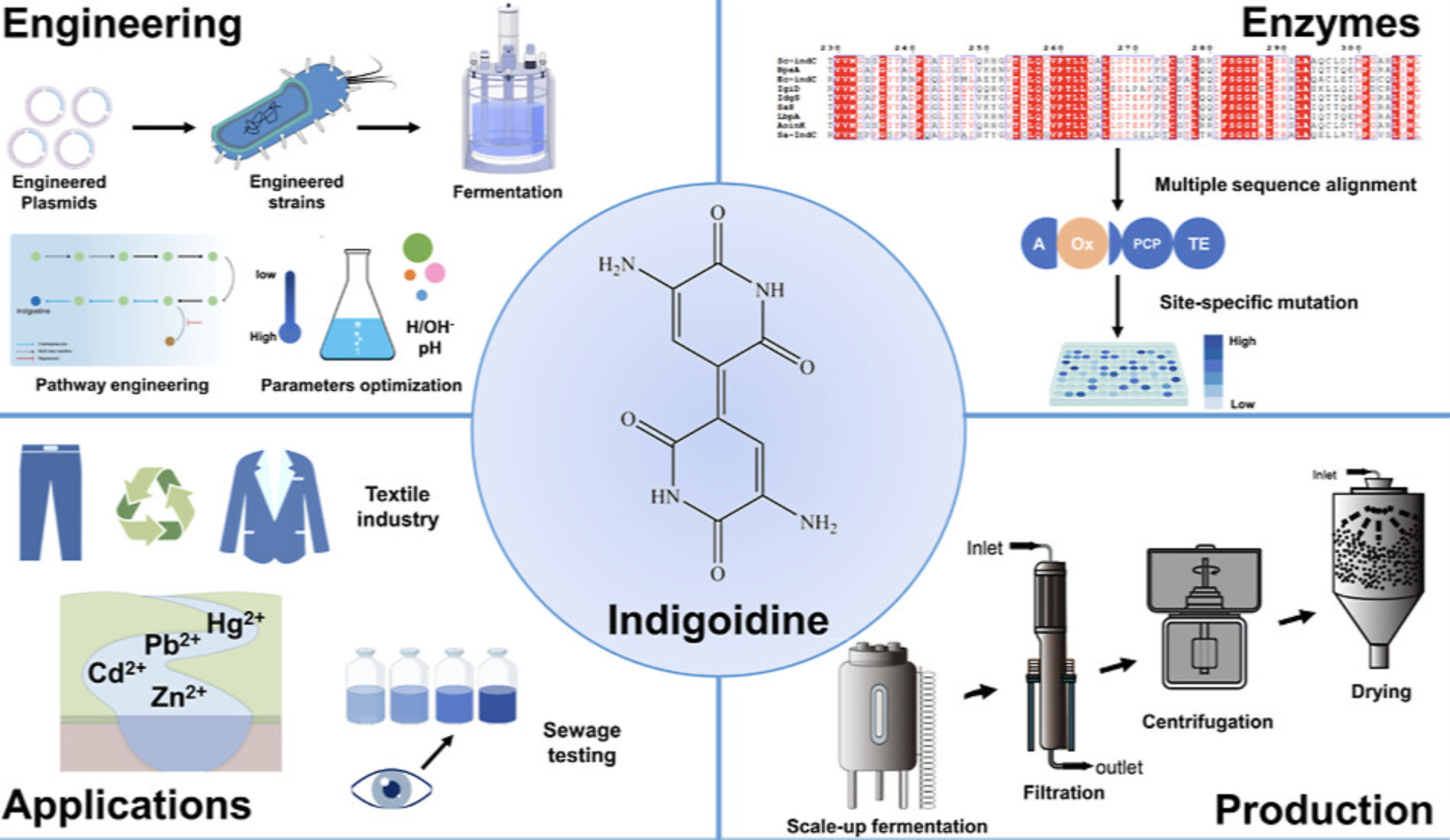 Recent Advances on Natural Pigment Indigoidine:...