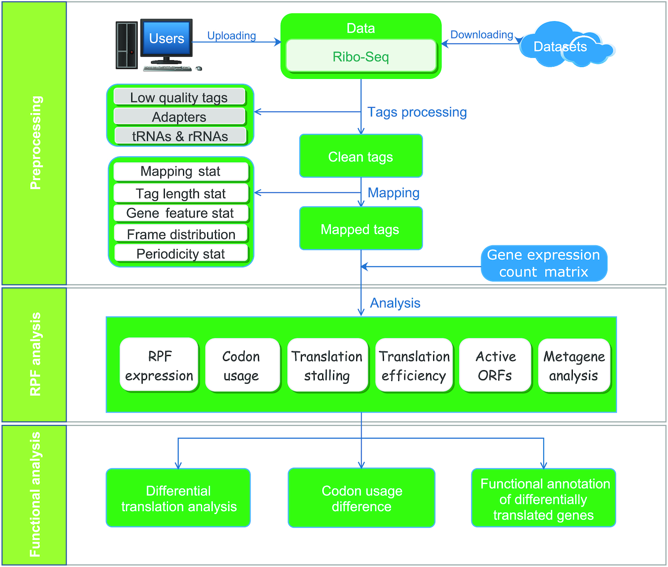 RiboToolkit: an integrated platform for analysi...