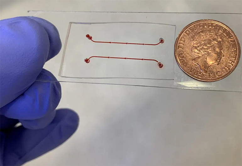 Vein on a Chip Includes Flexible Valves | Healt...