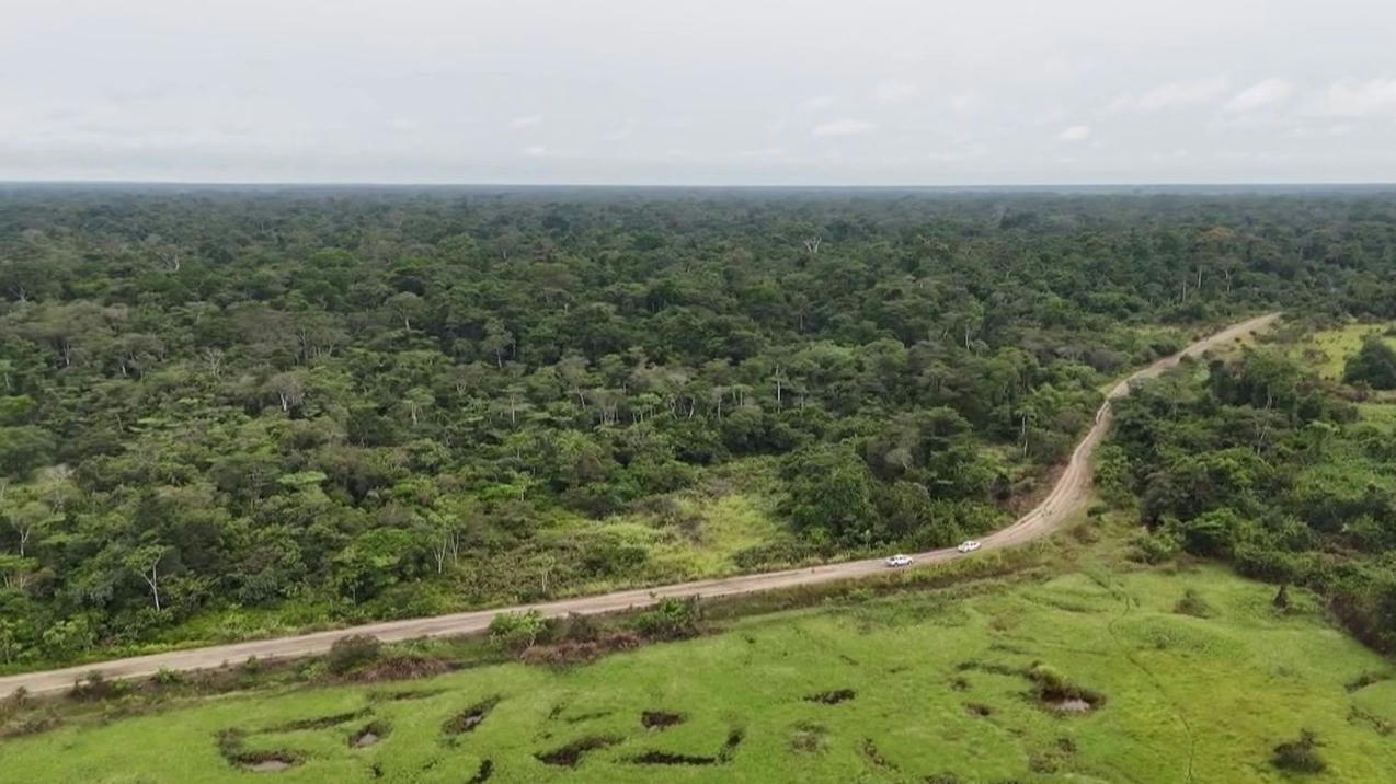 Environnement : les forêts du Congo, un p...