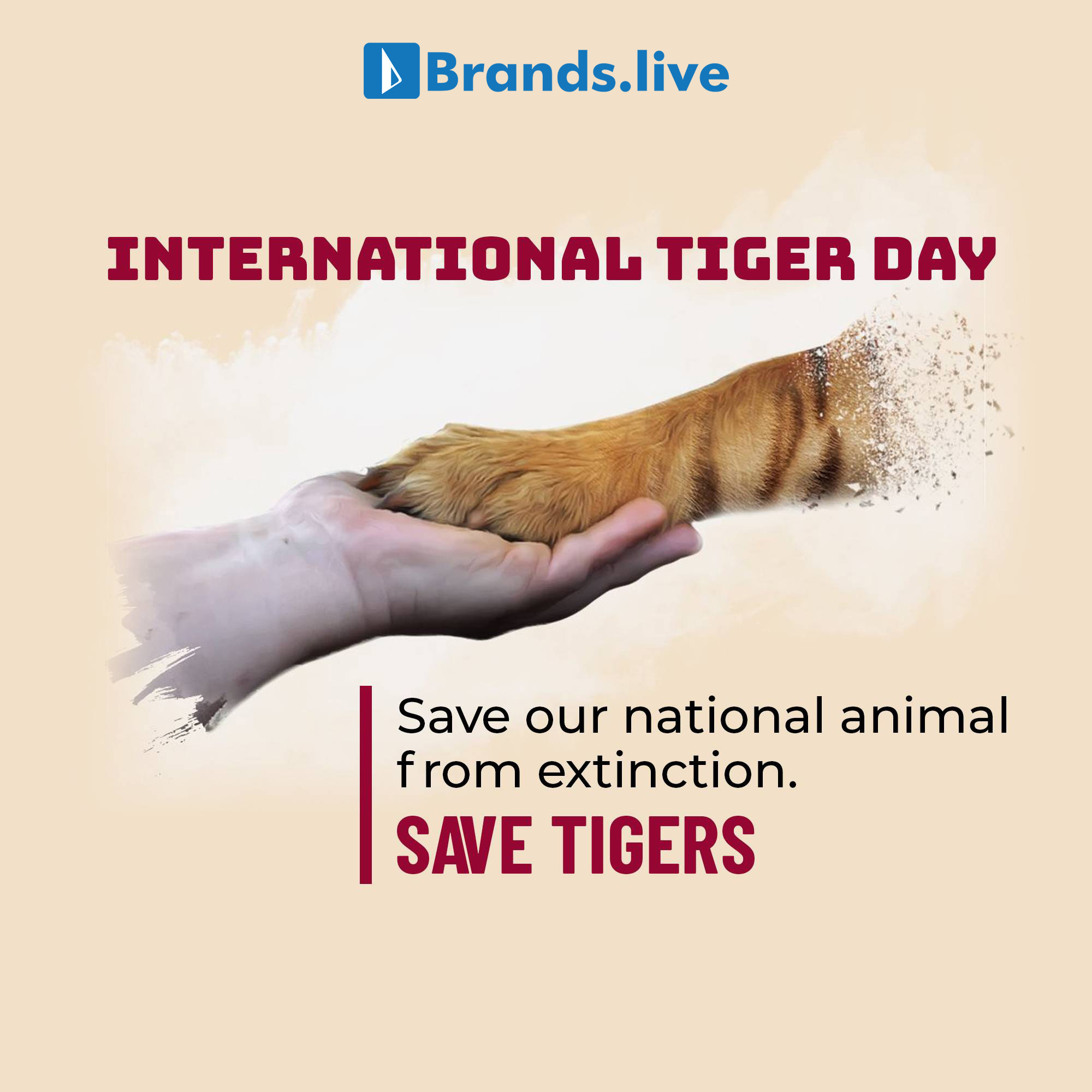 International Tiger Day Is Here And It's Time T...