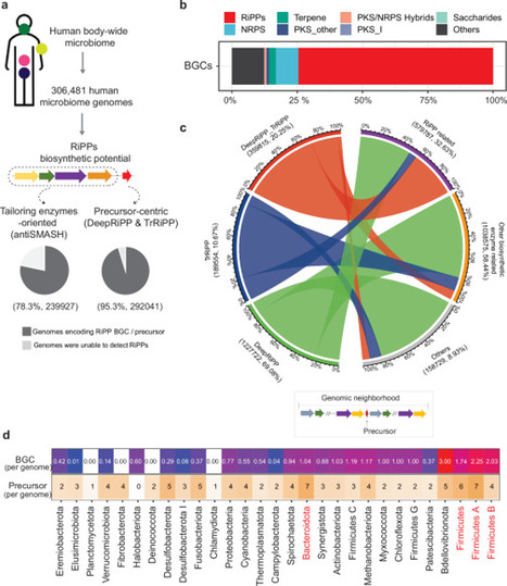 Large-scale biosynthetic analysis of human micr...