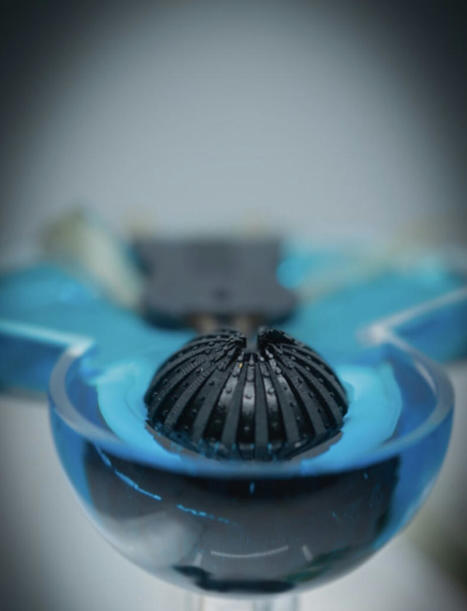 A crab-inspired artificial vision system for bo...