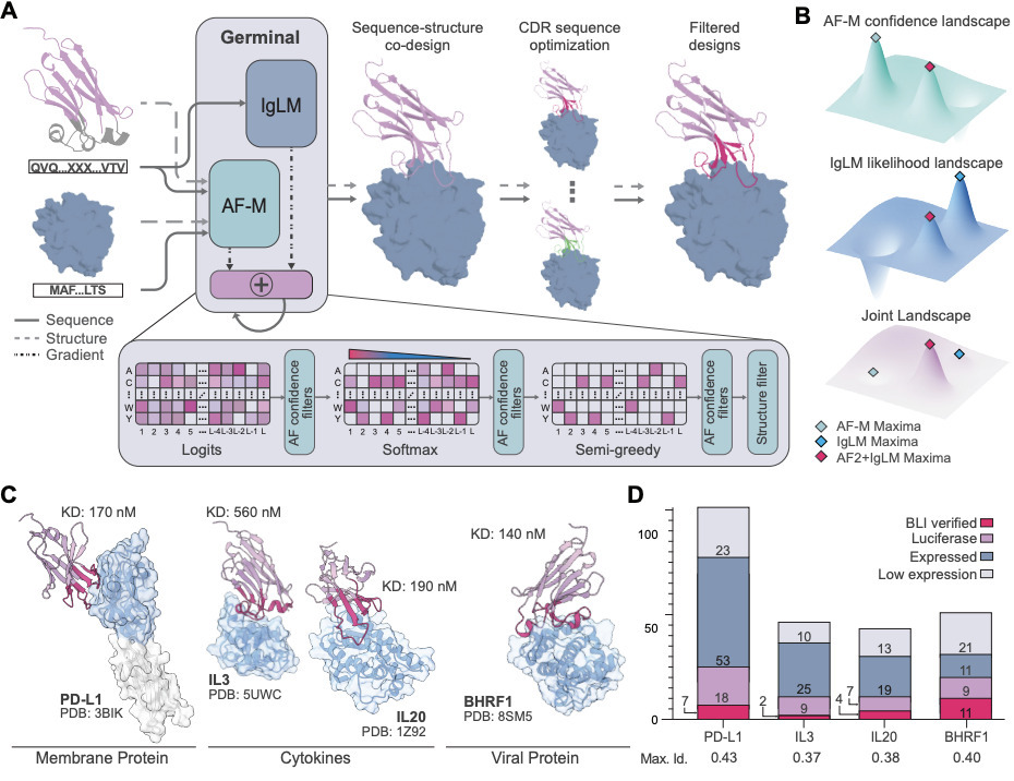 Efficient generation of epitope-targeted de nov...