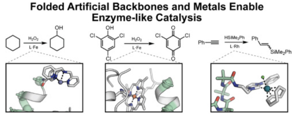 Application of artificial backbone connectivity...