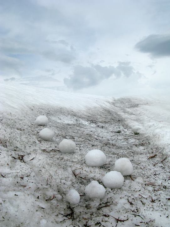 Luc Leguerinel: "The snow' snake" | A...