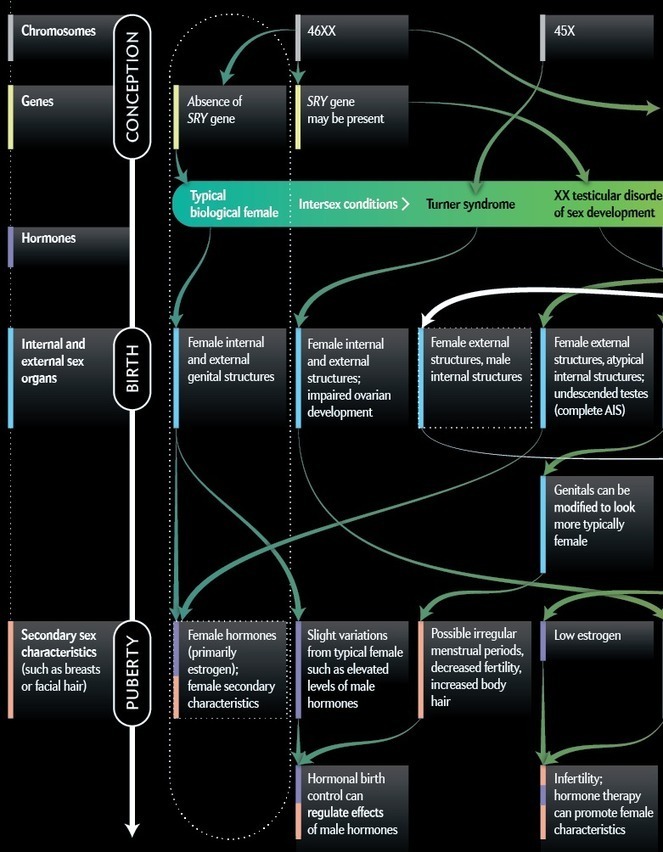 Visualizing Sex As A Spectrum Netbiology S