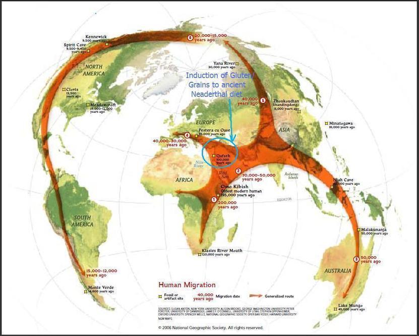 Human migration in history throughout the world...