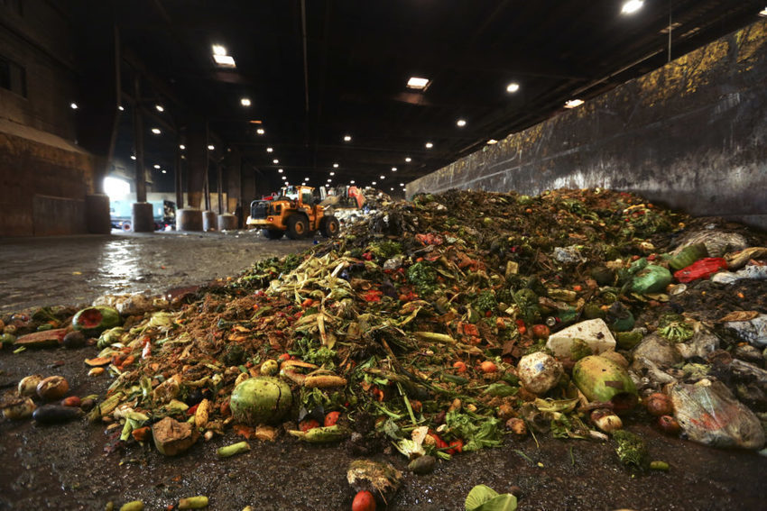 Covid-19 in the US : How to curb waste in your ...