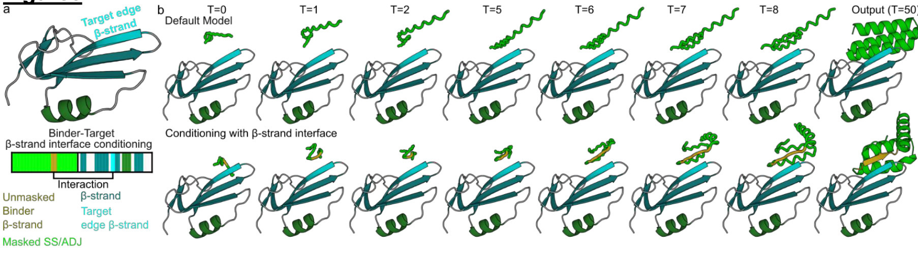 Improved protein binder design using β-pai...