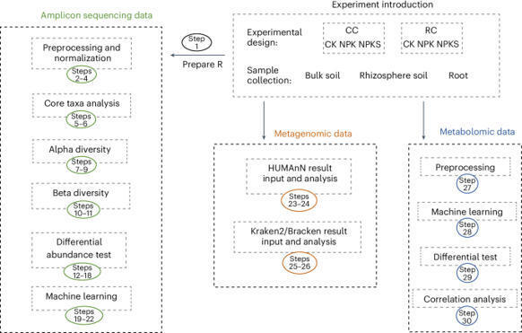 A workflow for statistical analysis and visuali...