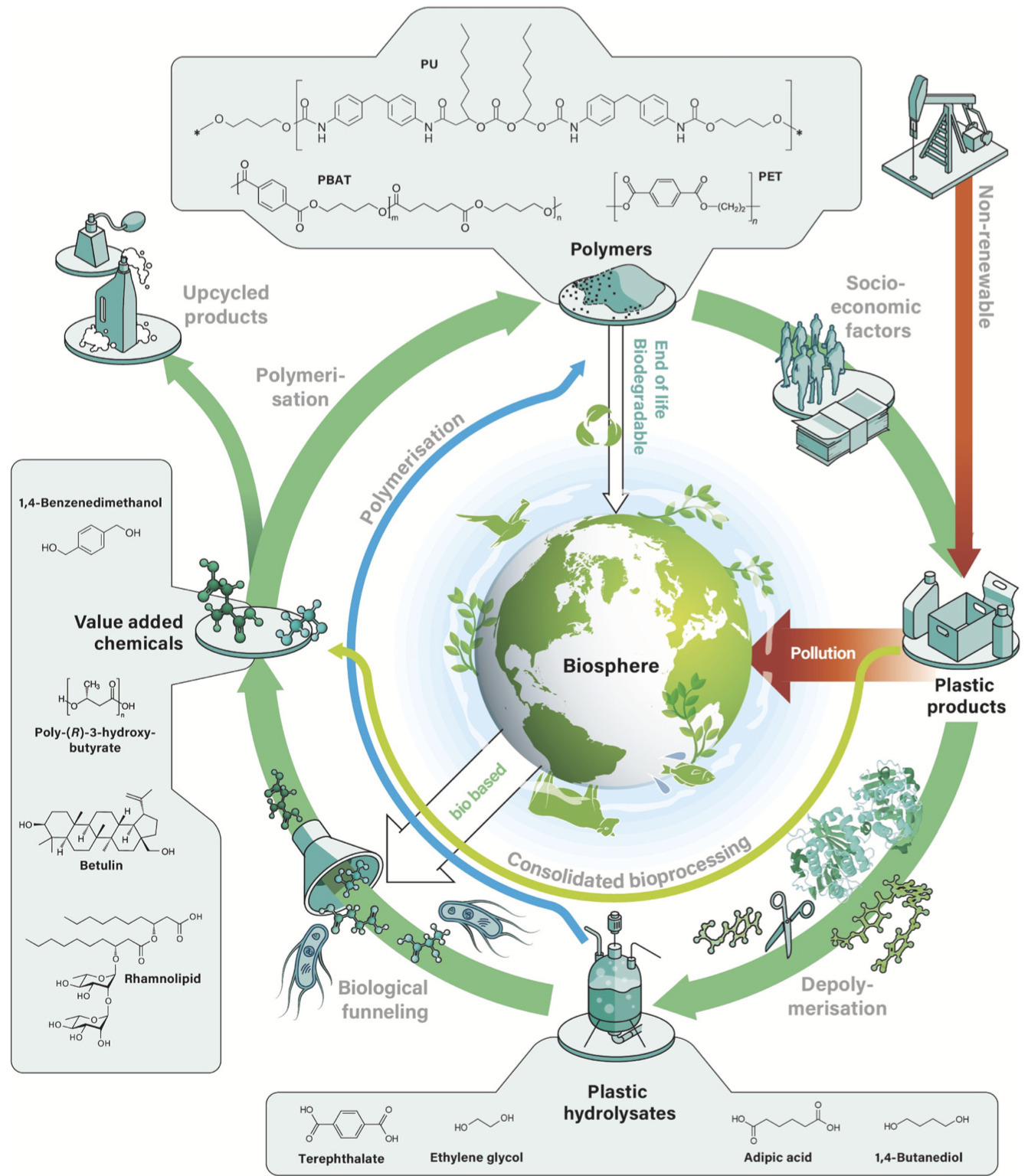 Exploring biotechnology for plastic recycling,