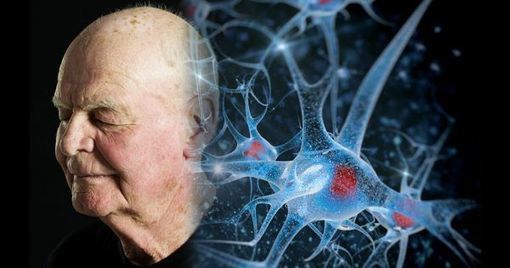 Why Our Brain Cells Die: A Breakthrough in Figh...