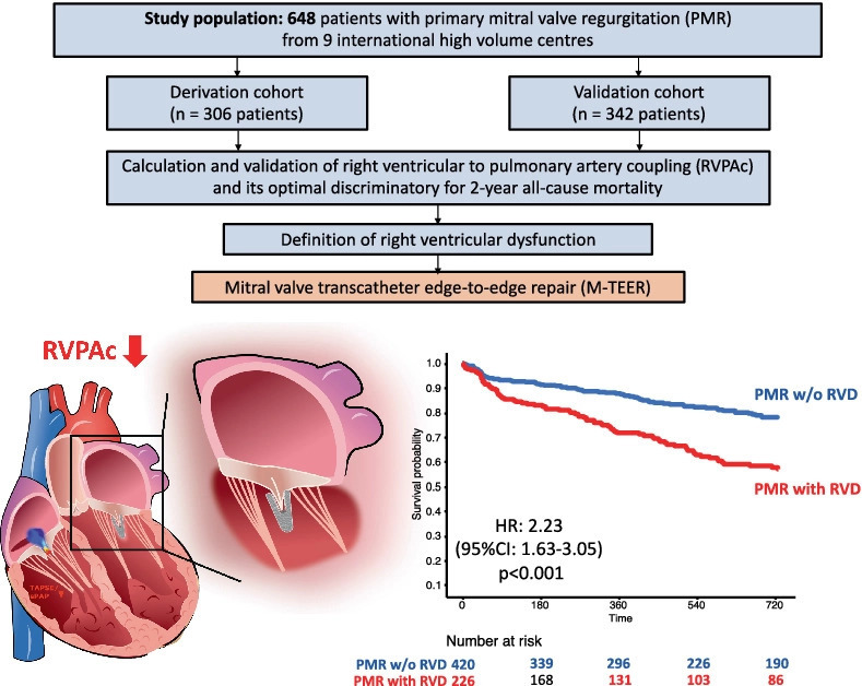 Right ventricular dysfunction predicts outcome ...