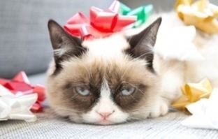 How to Harness the Power of Internet Memes for ...