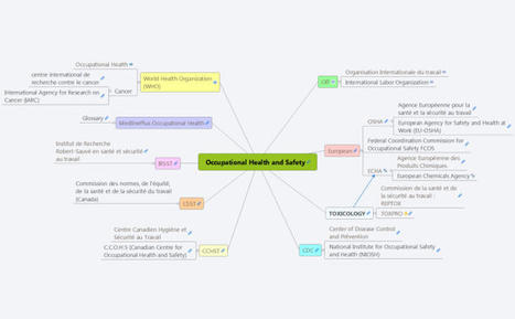 Occupational Health and Safety : organizations:...