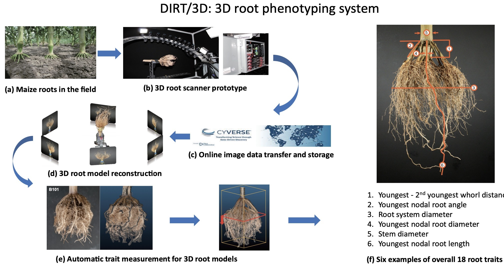 DIRT/3D: 3D root phenotyping for field-grown ma...