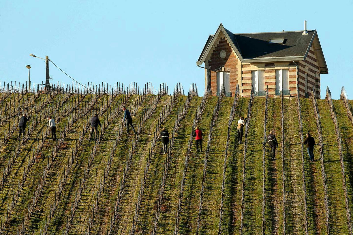 Le réchauffement hivernal, un risque sup...