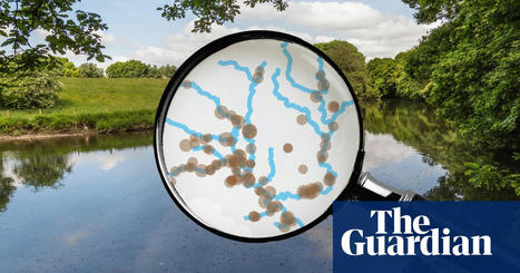 England’s sewage crisis: how polluted is ...