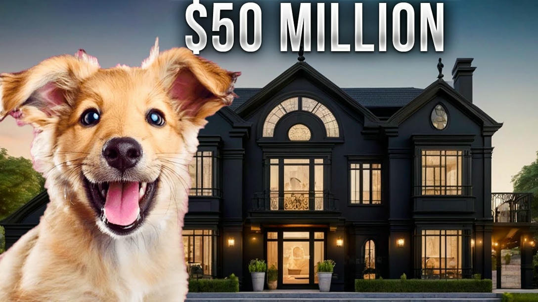 The Most Spoiled Pets in the World | The UHNW L...