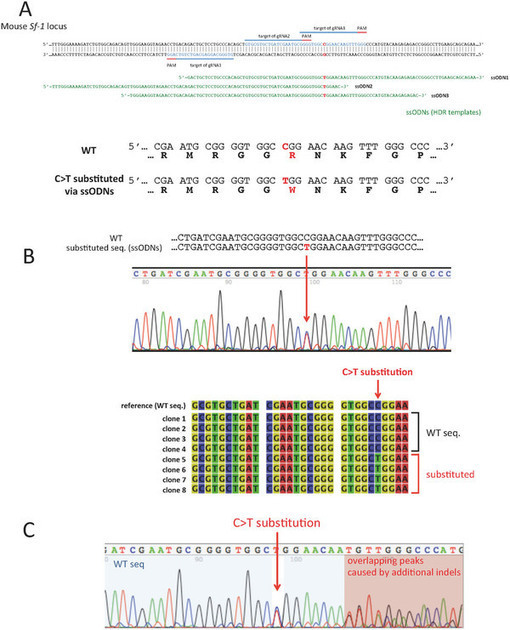 Rapid generation of mouse models with defined p...
