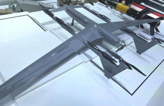 China to Supply Sky Saker FX80 UAV to Thai Army...