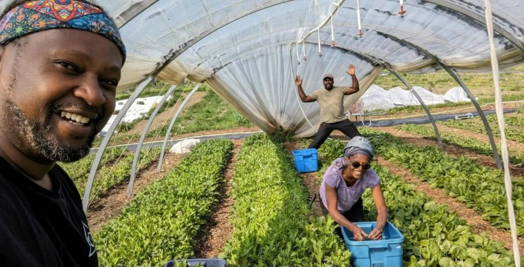 How Toronto’s Black farmers are tackling ...