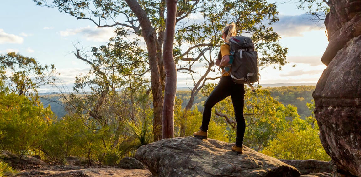 Going for a bushwalk? 3 handy foods to have in ...