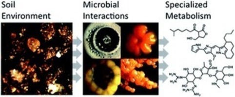 Natural products in soil microbe interactions a...