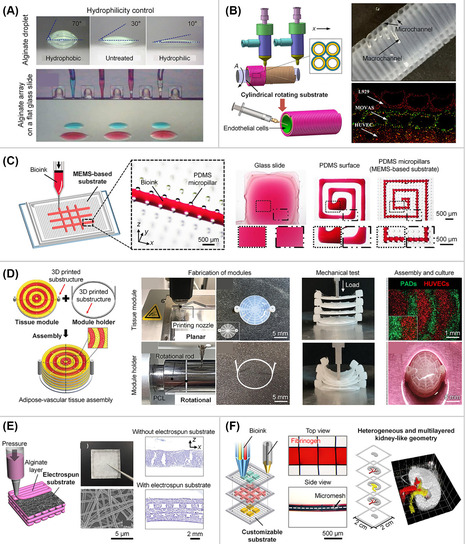 Functional substrate-enhanced bioprinting techn...