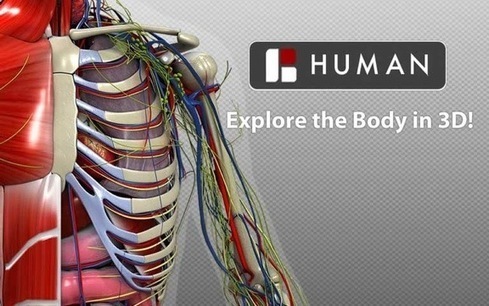 3D Bio Digital Human - #atlasanatómicohu...