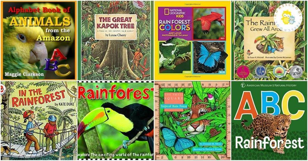 18 Amazing Rainforest Animals Books for Prescho...