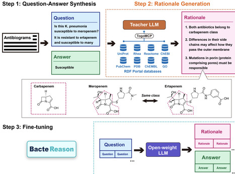 BacteReason: A Reasoning Model for Antimicrobia...