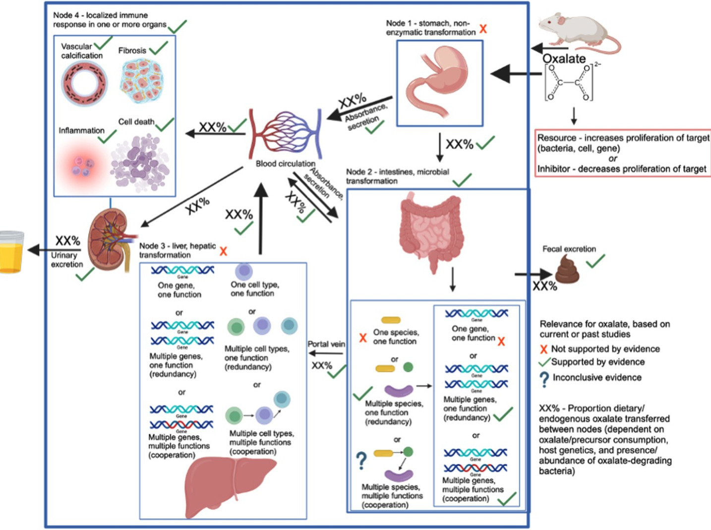 Complex system modeling reveals oxalate homeost...