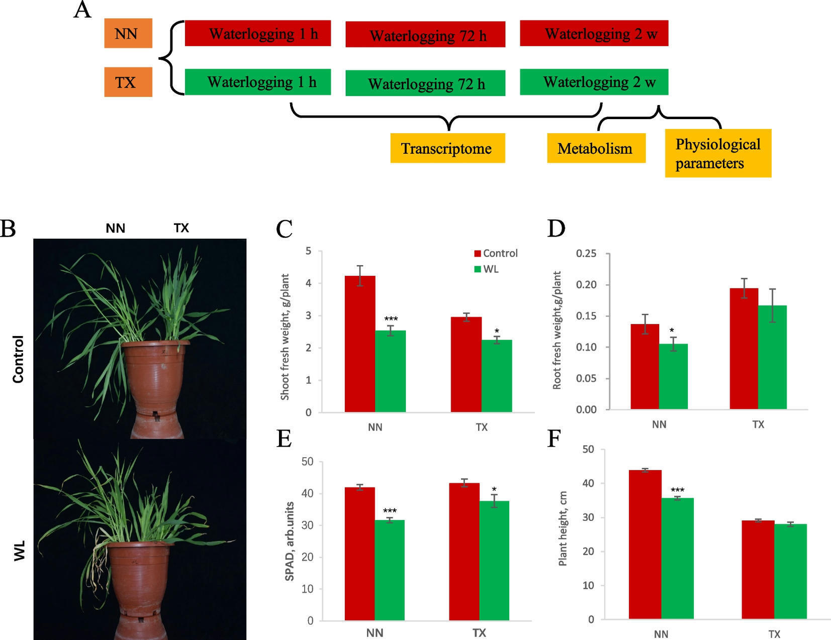 Transcriptome And Metabolome Analyses Reveal Mo