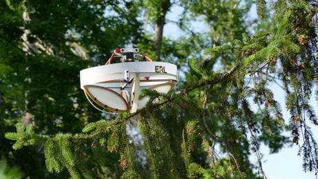 Crean un dron que recoge ADN animal de las rama...