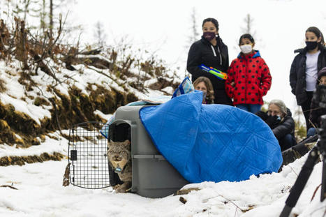 Inuit know-how guides future of remote Arctic p...