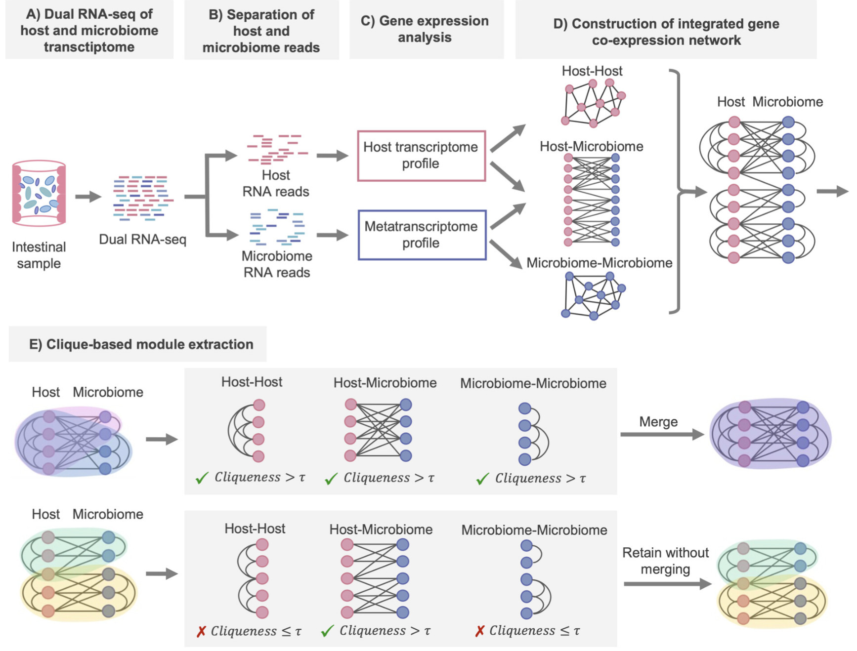 Decoding host-microbiome interactions through c...