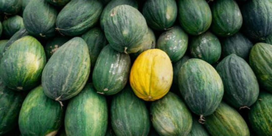 La solución al problema de los melones y...