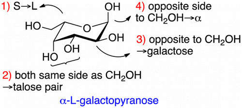 Mnemonics for the Aldohexoses That Aid in Learn...