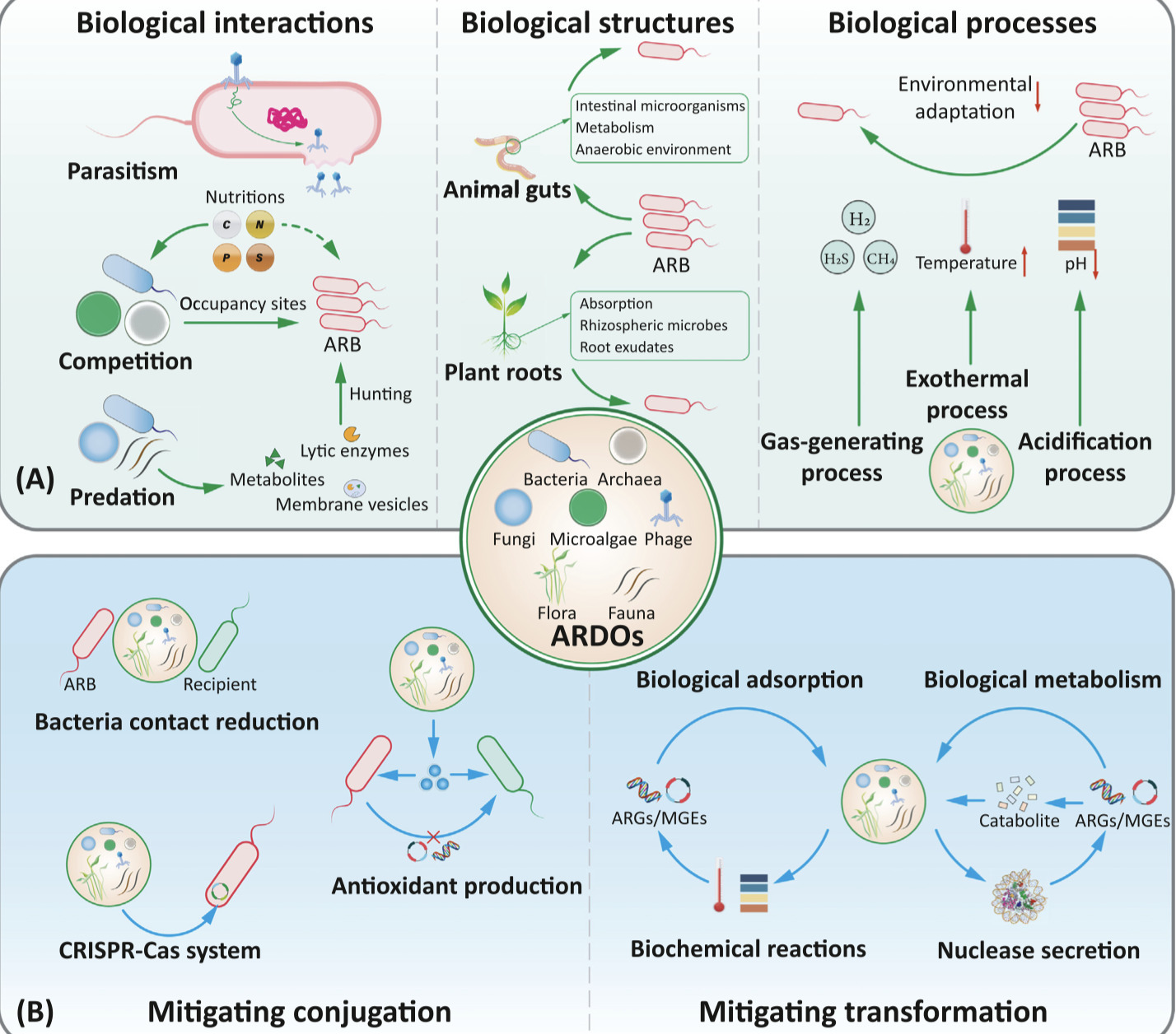 Understanding bacterial ecology to combat antib...