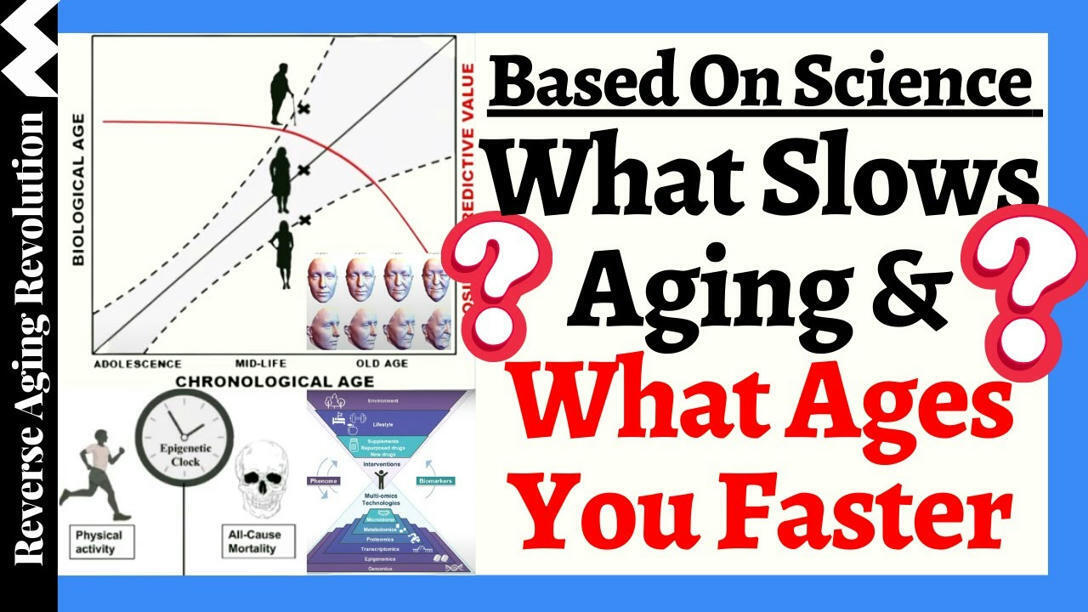 What Slows Aging & What Ages You Faster Bas...
