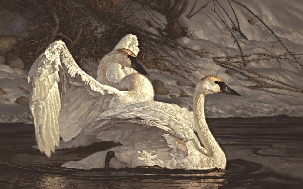 Greg Beecham | Artistes et créateurs d'a...