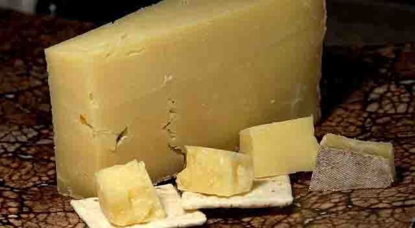 Spanish food company launches vegan cheese prod...