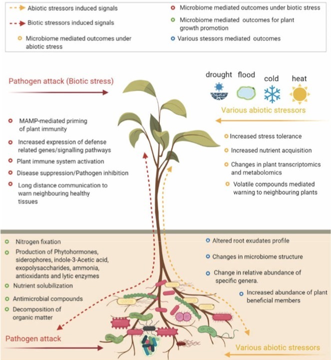 Dissection of plant microbiota and plant-microb...