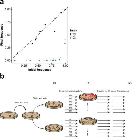 Mutational meltdown of putative microbial altru...